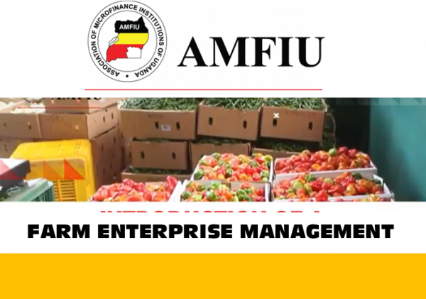 FARM ENTERPRISE MANAGEMENT – AMFIU Training